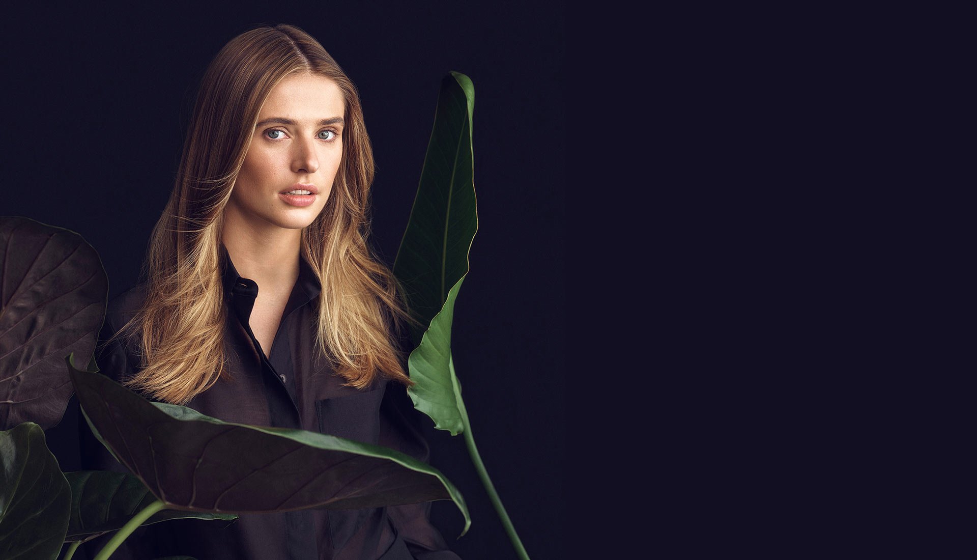 Home - The Raven Salon - Portland, Maine